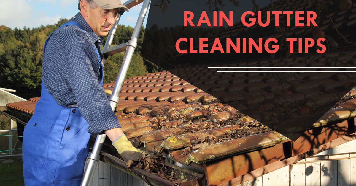 Rain Gutter Cleaning And Maintenance Tips Infographic